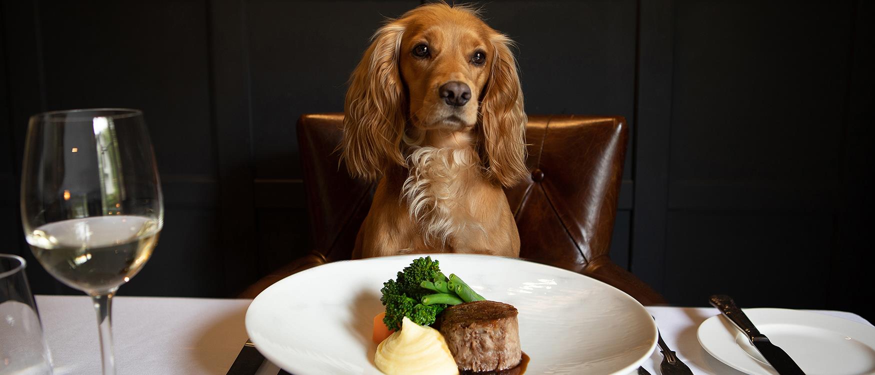 Food and Drink in the Lake District and Cumbria - Visit Lake District