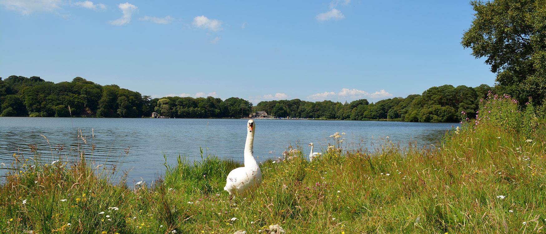 Brampton - Explore Cumbria | Visit Lake District