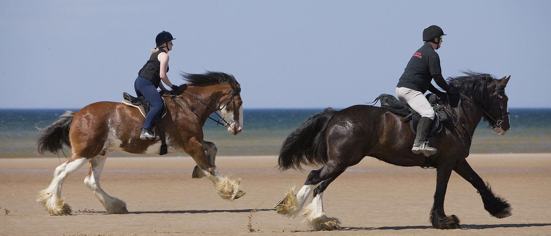 Horse Riding & Pony Trekking - Visit Lake District