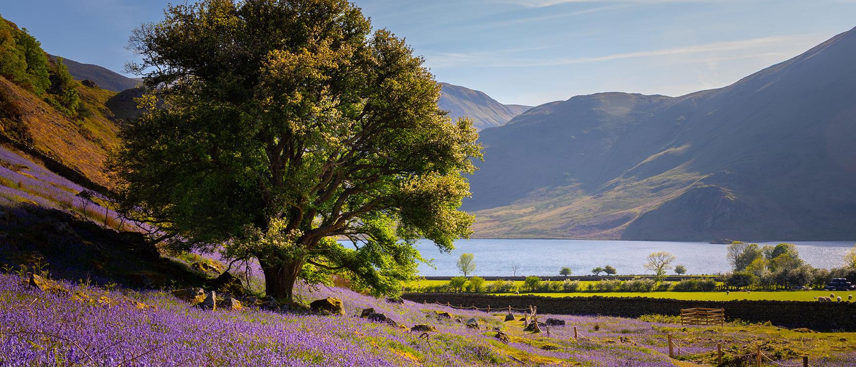 Spring - Visit Lake District
