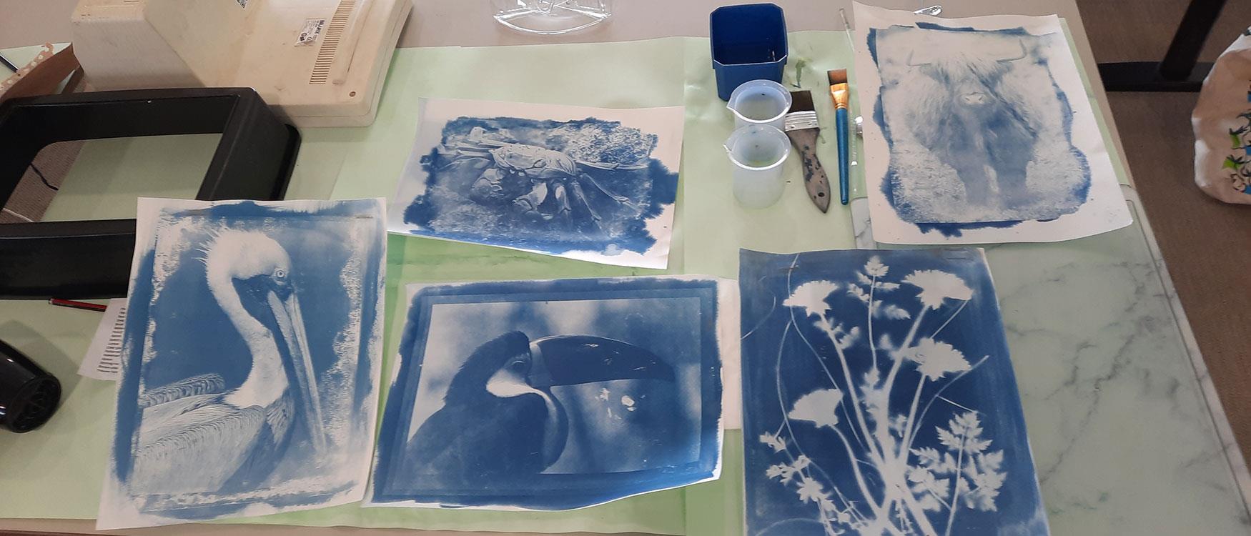 50 Great Cumbrian Experiences - Visit Lake District