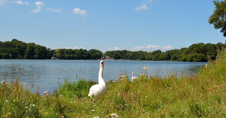 Brampton - Explore Cumbria | Visit Lake District