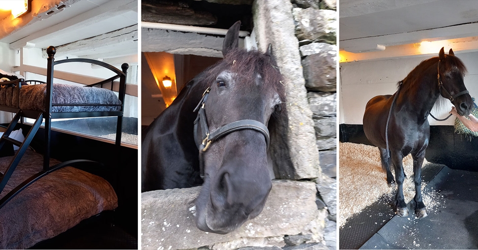 Stable Stay - 50 Great Cumbrian Experiences | Visit Lake District