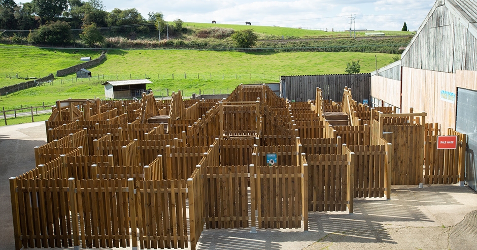 Lakeland Maze Farm Park - Kendal - Visit Lake District