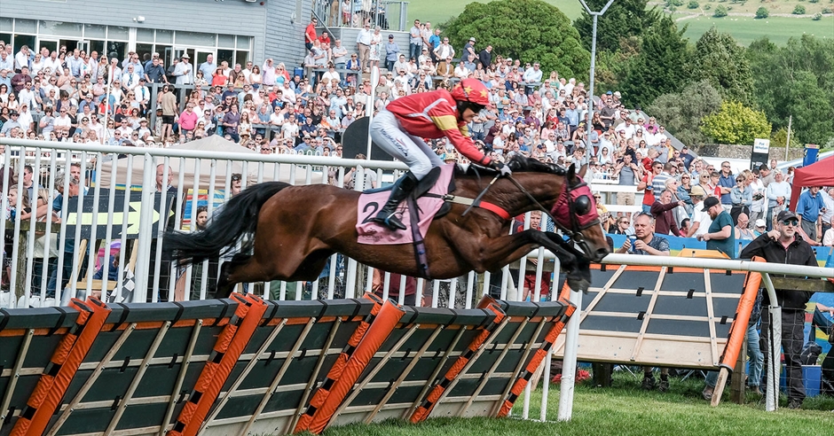 Cartmel Racecourse - Cartmel - Visit Lake District