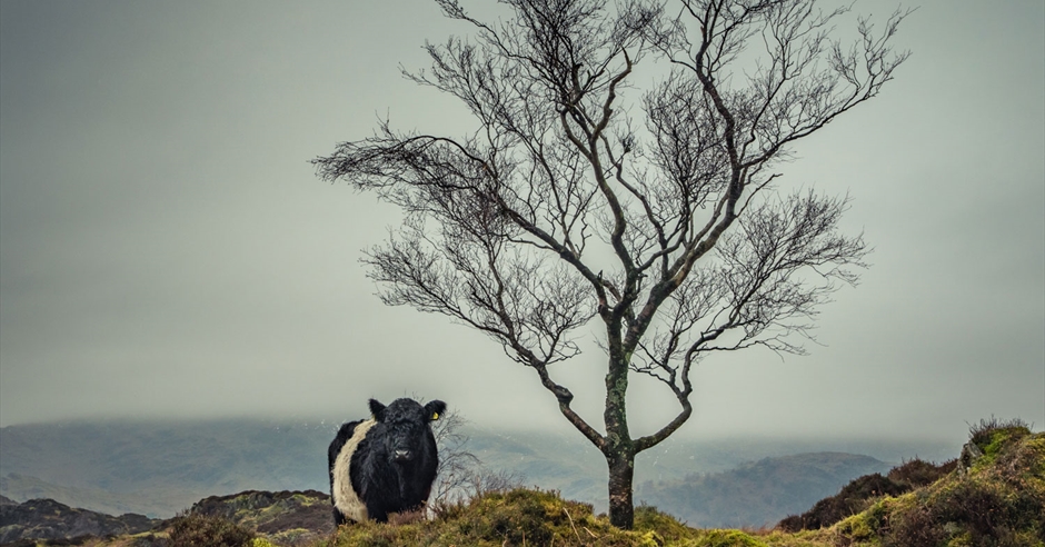 Amy Bateman Photography Ltd - Kendal - Visit Lake District