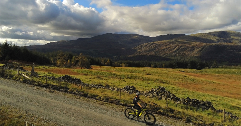 Bike Hire at Grizedale Forest - Ambleside - Visit Lake District