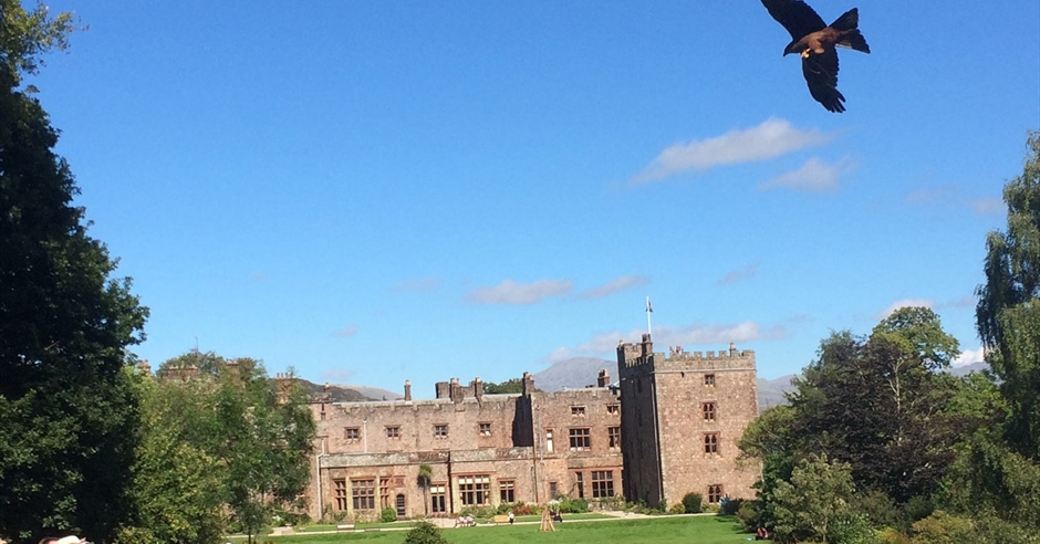 Muncaster Castle - Hawk & Owl Centre - Ravenglass - Visit Lake District