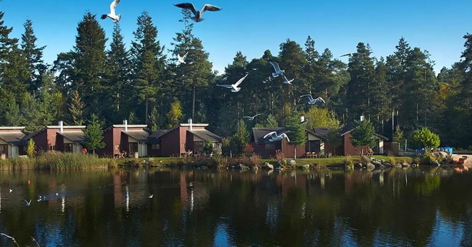 Center Parcs Whinfell Forest - Penrith - Visit Lake District