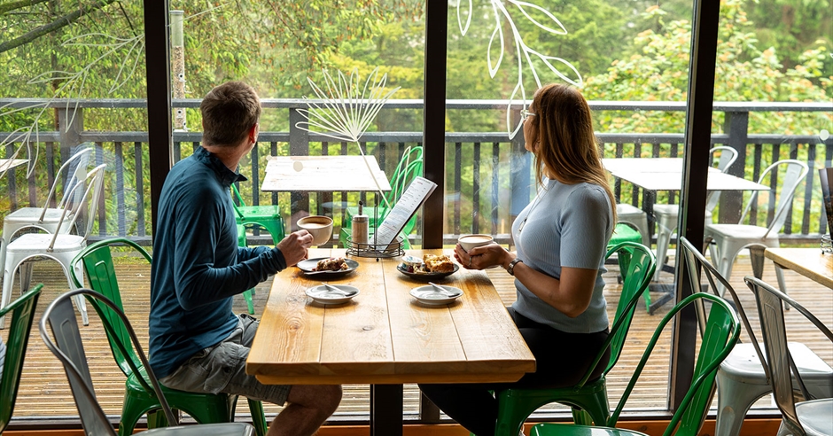 Cafe Ambio, Whinlatter Forest - Keswick - Visit Lake District