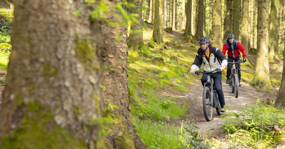 Whinlatter Forest - Keswick - Visit Lake District