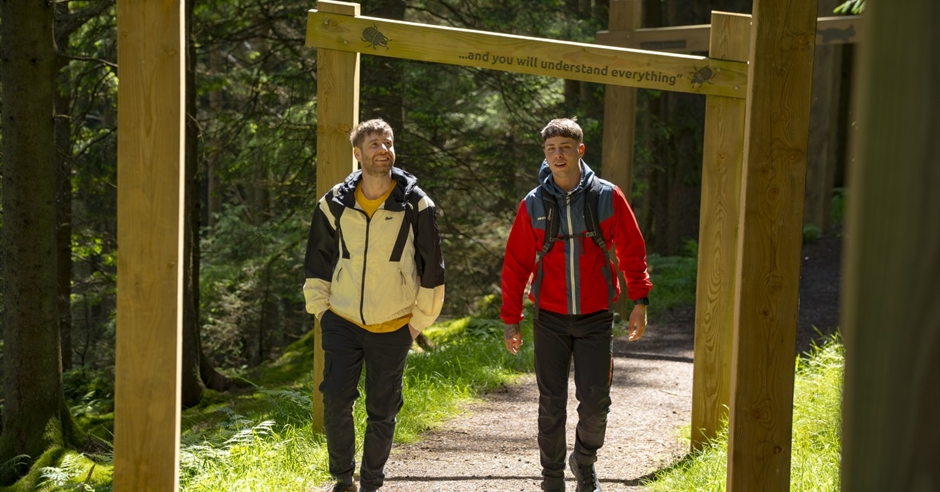 Whinlatter Forest - Keswick - Visit Lake District
