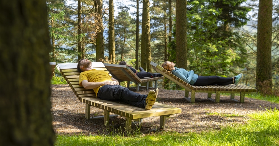Whinlatter Forest - Keswick - Visit Lake District