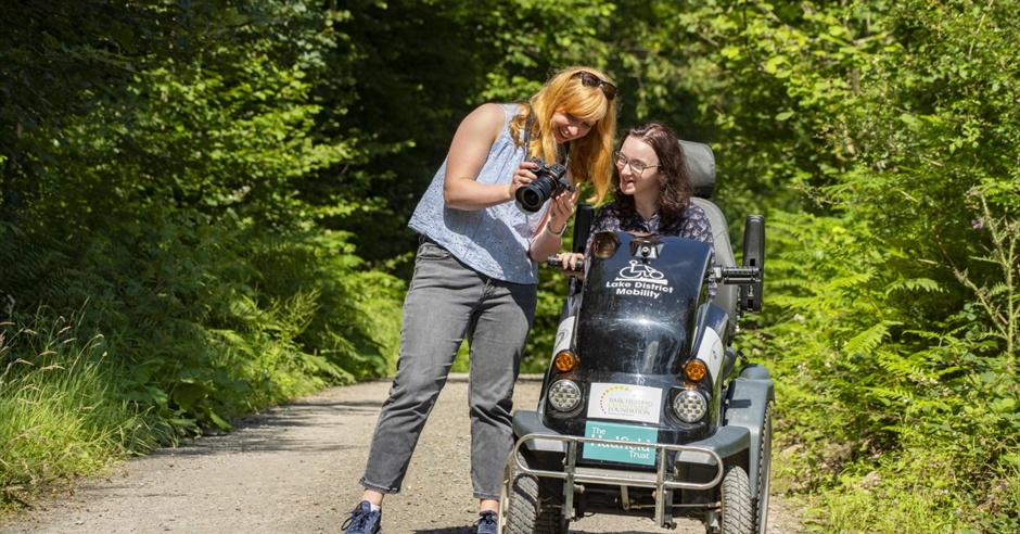 Grizedale Forest - Hawkshead - Visit Lake District