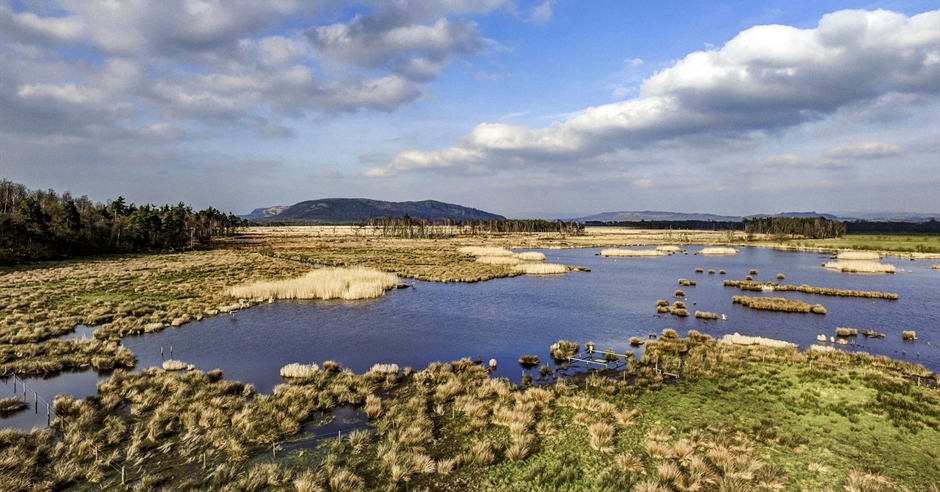 Foulshaw Moss Nature Reserve - Witherslack - Visit Lake District