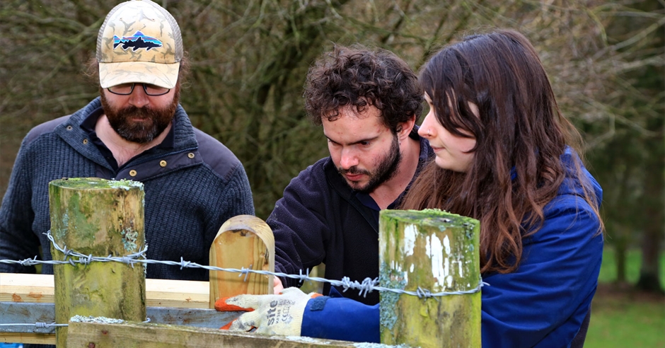 Wild Work Days with Cumbria Wildlife Trust - - Visit Lake District