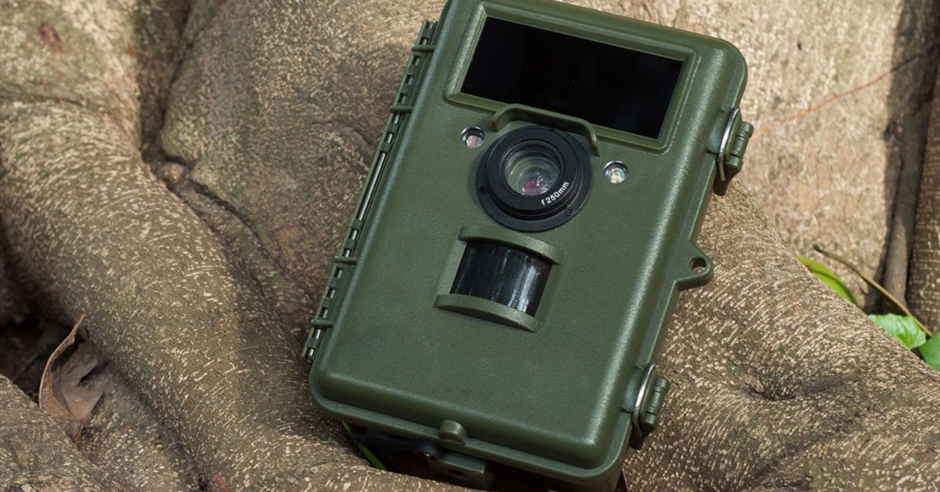 Wildlife Tracking After Hours at South Walney Nature Reserve with ...