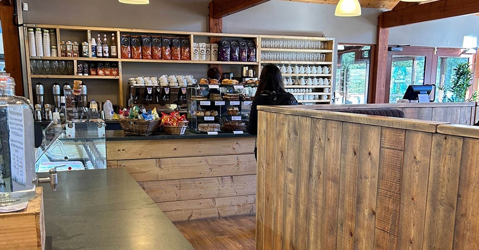 Cafe Ambio, Whinlatter Forest - Keswick - Visit Lake District