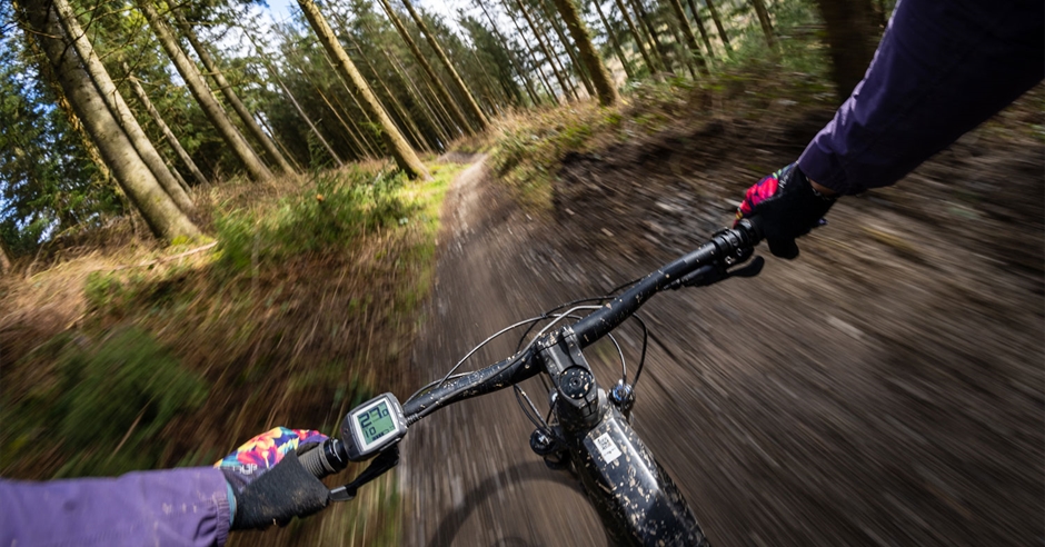 Cyclewise Whinlatter - Bike Hire & Guide - Keswick - Visit Lake District