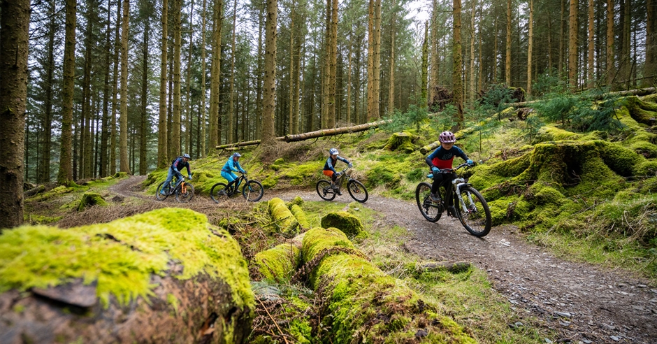 Cyclewise Whinlatter - Bike Hire & Guide - Keswick - Visit Lake District