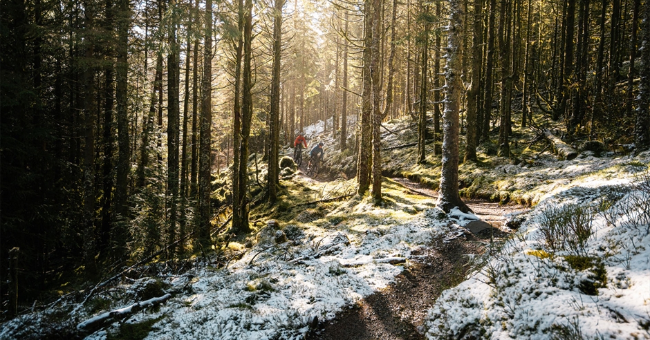 Cyclewise Whinlatter - Bike Hire & Guide - Keswick - Visit Lake District