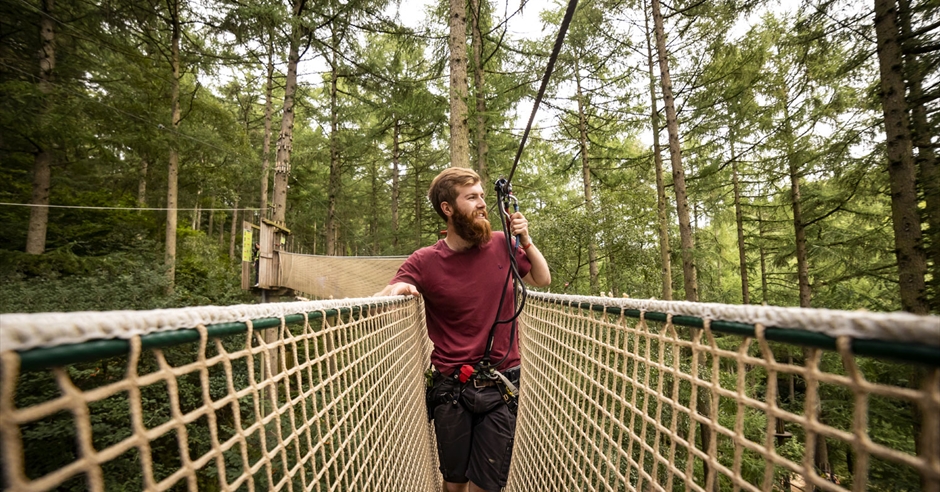 Go Ape Grizedale - Hawkshead - Visit Lake District