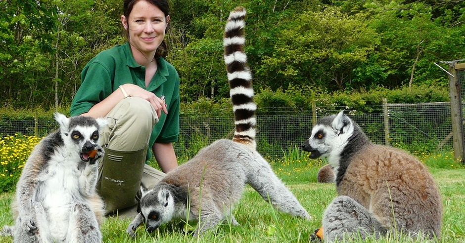 Ultimate Animal Experience at The Lake District Wildlife Park ...