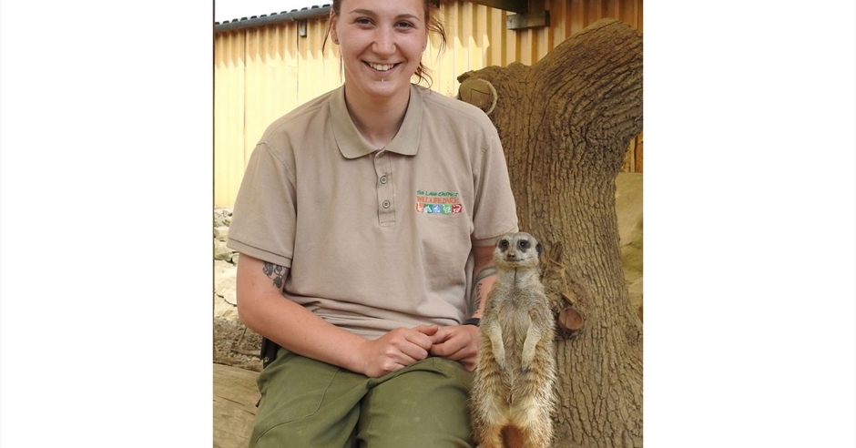Ultimate Animal Experience at The Lake District Wildlife Park ...