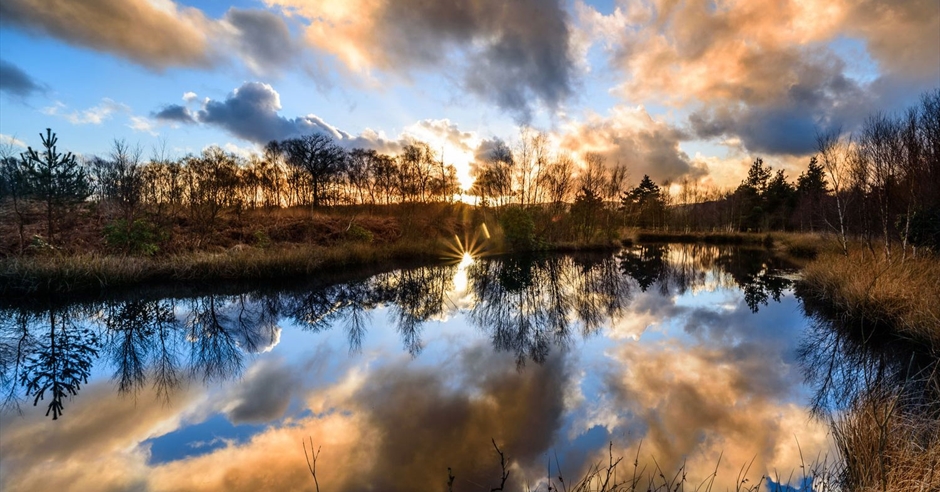 The Secret Side of Foulshaw Moss with Cumbria Wildlife Trust - Grange ...