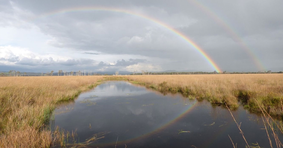 The Secret Side of Foulshaw Moss with Cumbria Wildlife Trust - Grange ...