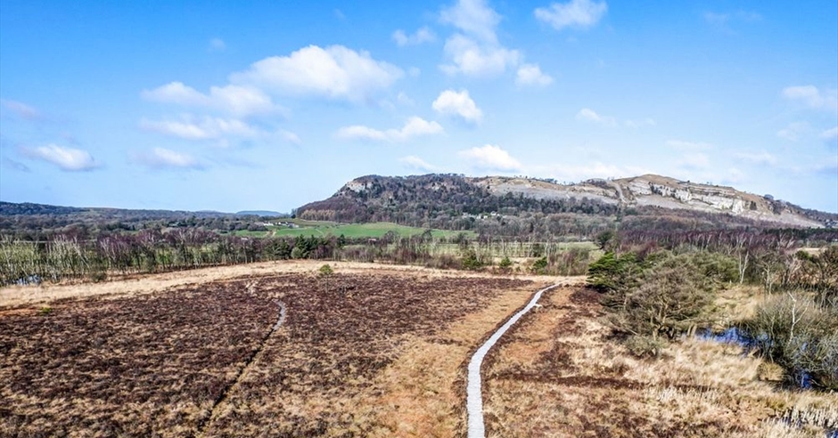 The Secret Side of Foulshaw Moss with Cumbria Wildlife Trust - Grange ...