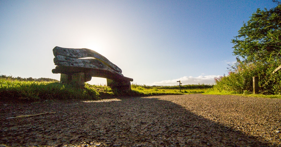Talkin Tarn Country Park - Brampton - Visit Lake District