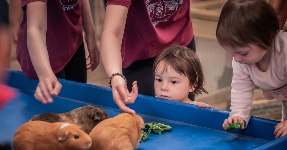 Walby Farm Park - Carlisle - Visit Lake District