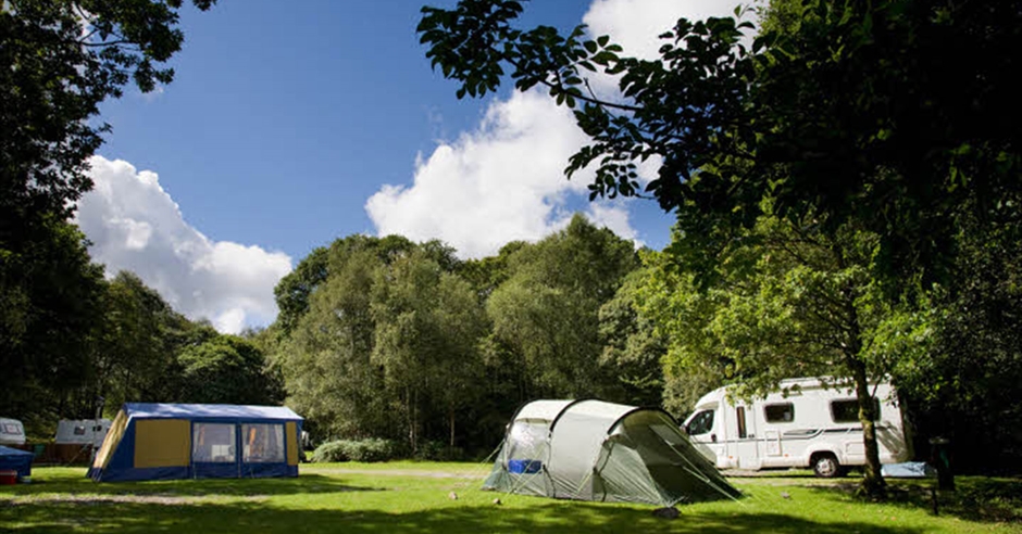 Coniston Park Coppice Site - Tent Camping - Coniston - Visit Lake District