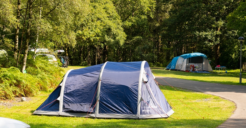 Coniston Park Coppice Site - Tent Camping - Coniston - Visit Lake District