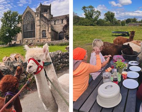 Cartmel - Explore Cumbria | Visit Lake District