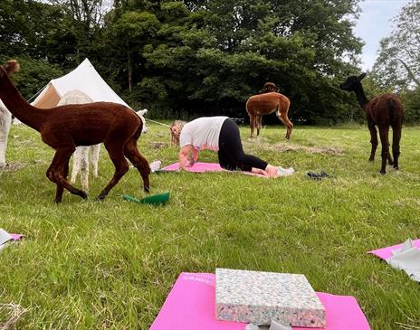 Cartmel - Explore Cumbria | Visit Lake District