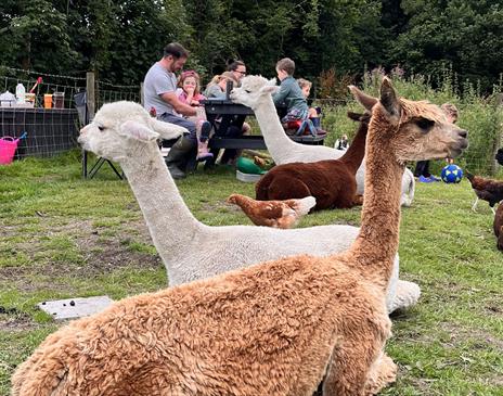 Cartmel - Explore Cumbria | Visit Lake District