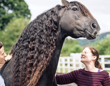 Cartmel - Explore Cumbria | Visit Lake District