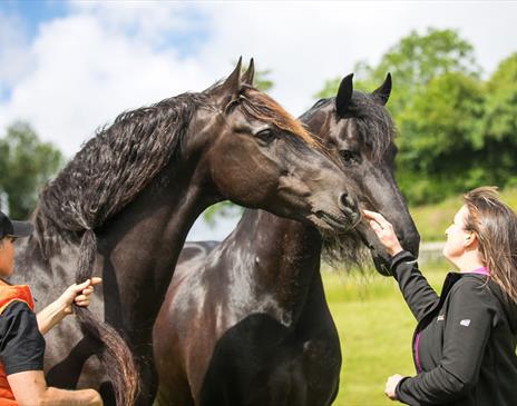 Cartmel - Explore Cumbria | Visit Lake District