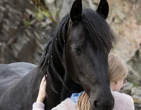 Horse Riding & Pony Trekking - Visit Lake District