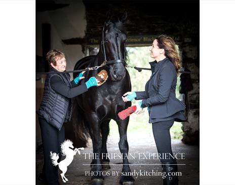 Horse Riding & Pony Trekking - Visit Lake District