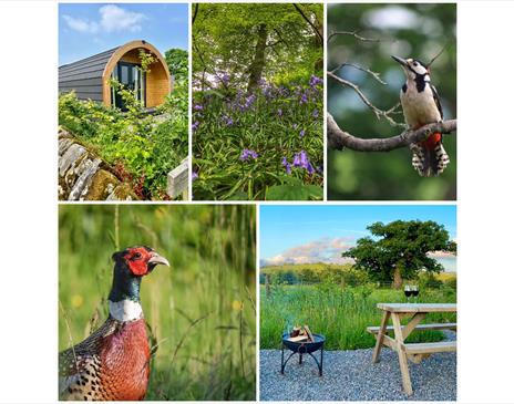 Brampton - Explore Cumbria | Visit Lake District