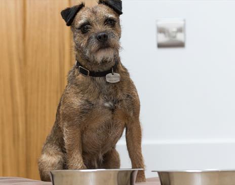 Fine dining - Visit Lake District