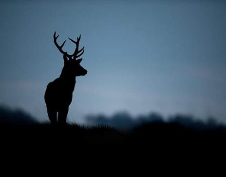 Cartmel - Explore Cumbria | Visit Lake District