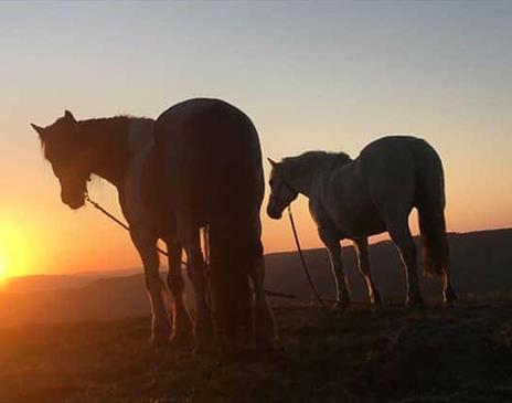 Horse Riding & Pony Trekking - Visit Lake District