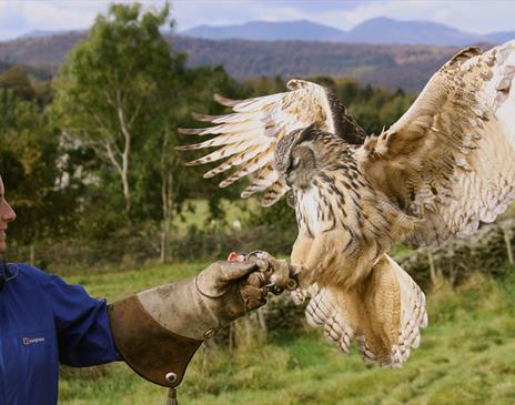 Cartmel - Explore Cumbria | Visit Lake District