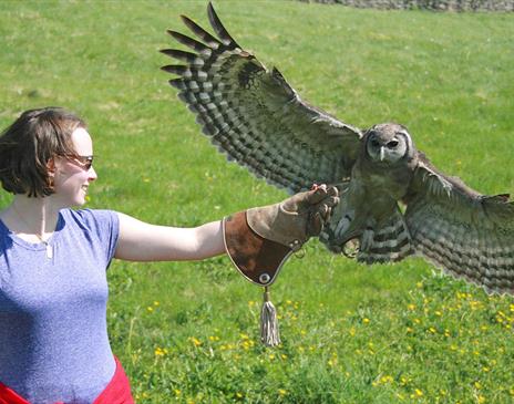 Cartmel - Explore Cumbria | Visit Lake District