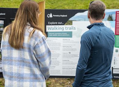 Whinlatter Forest - Keswick - Visit Lake District