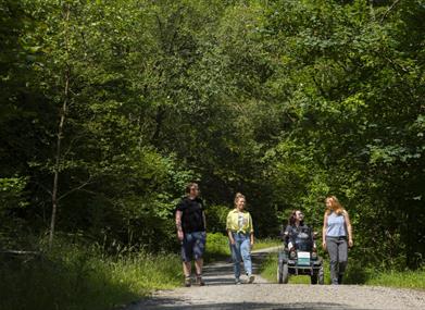 Grizedale Forest Walking Trails - Hawkshead - Visit Lake District